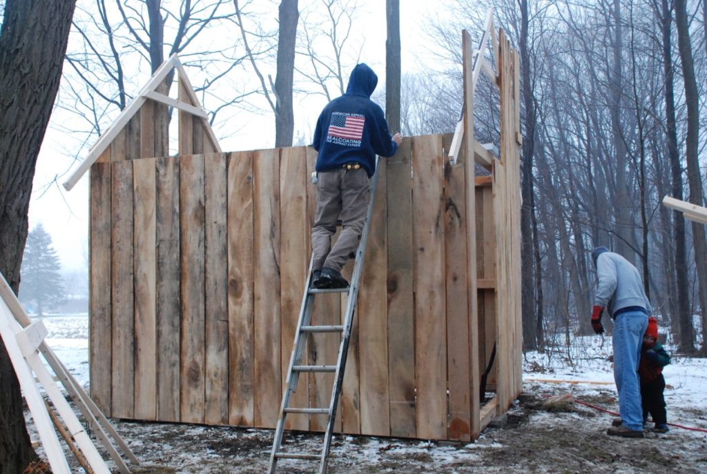 Evolution of a Sugar Bush, Part 1