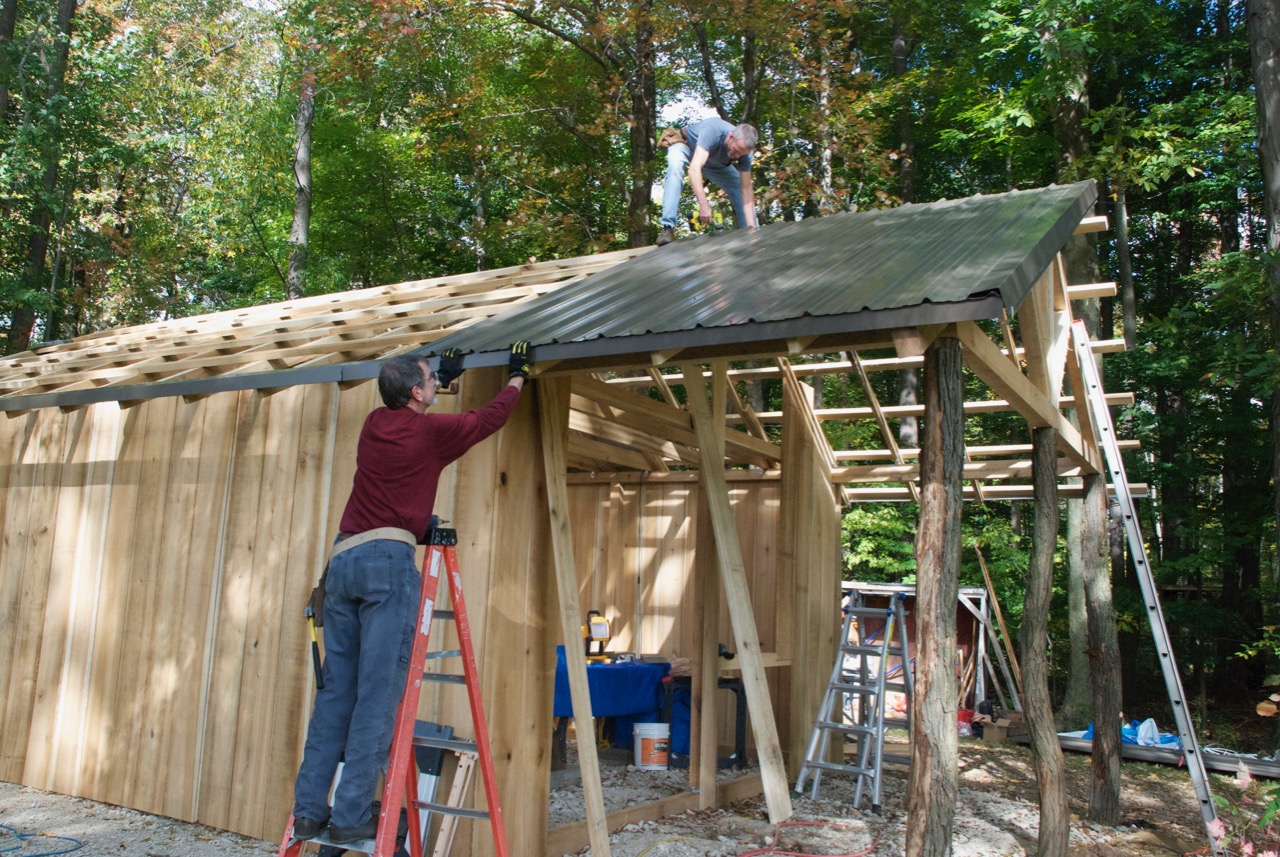 Evolution of a Sugar Bush, Part 2