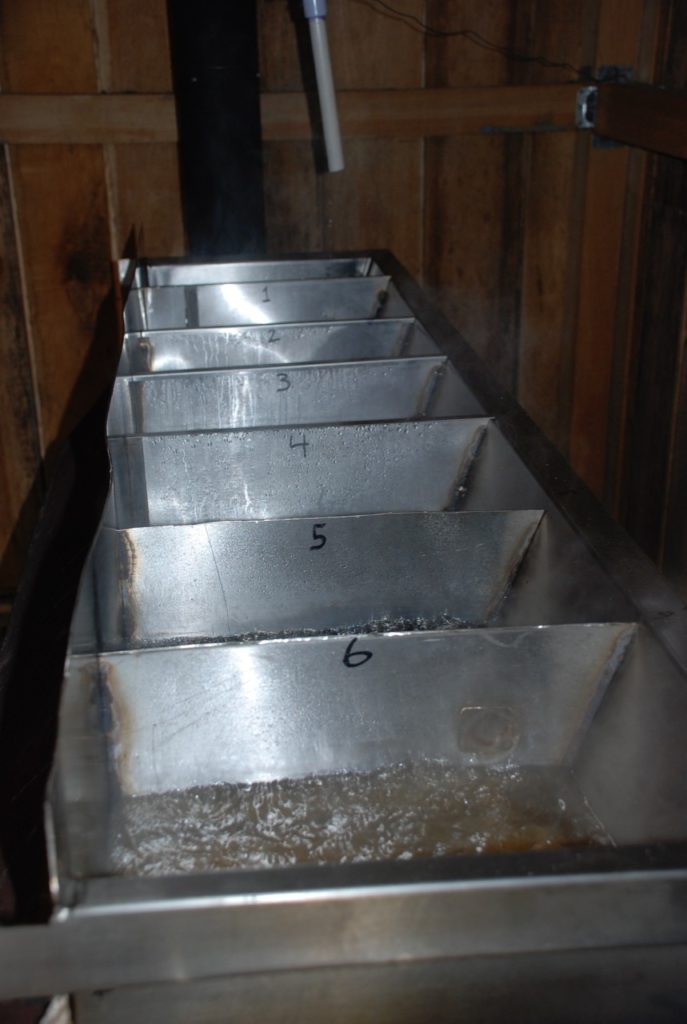 Evolution of a Sugar Bush, Part 1
