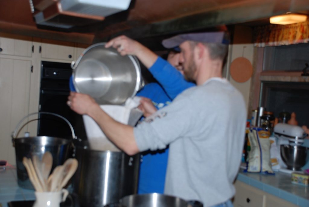 Evolution of a Sugar Bush, Part 1