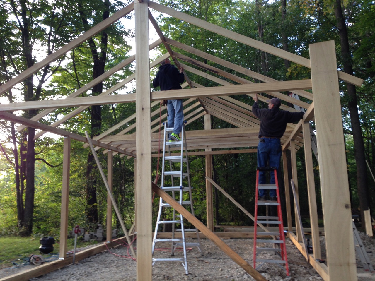 Evolution of a Sugar Bush, Part 2