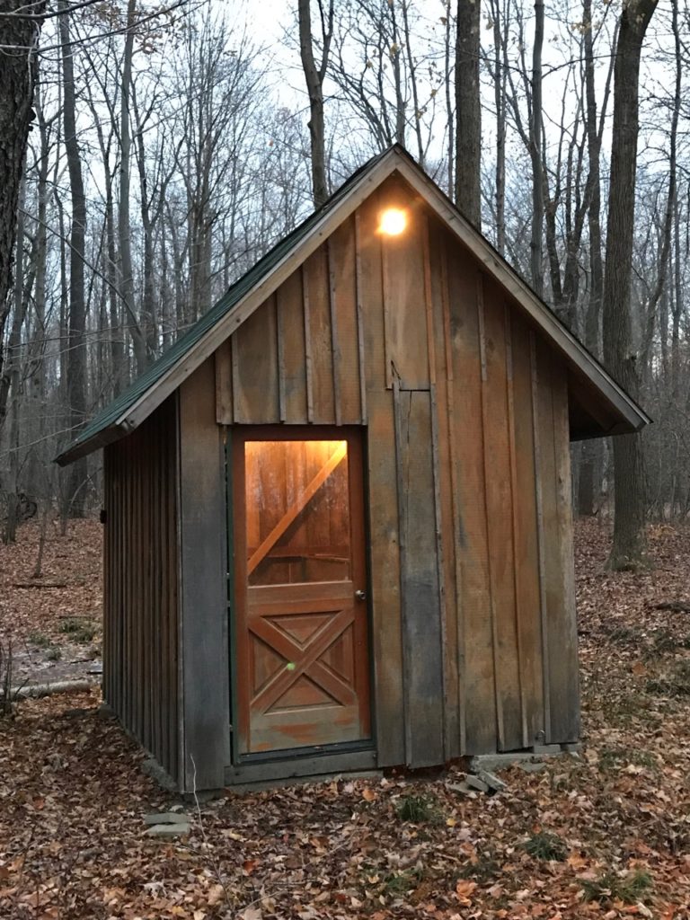 Evolution of a Sugar Bush, Part 2